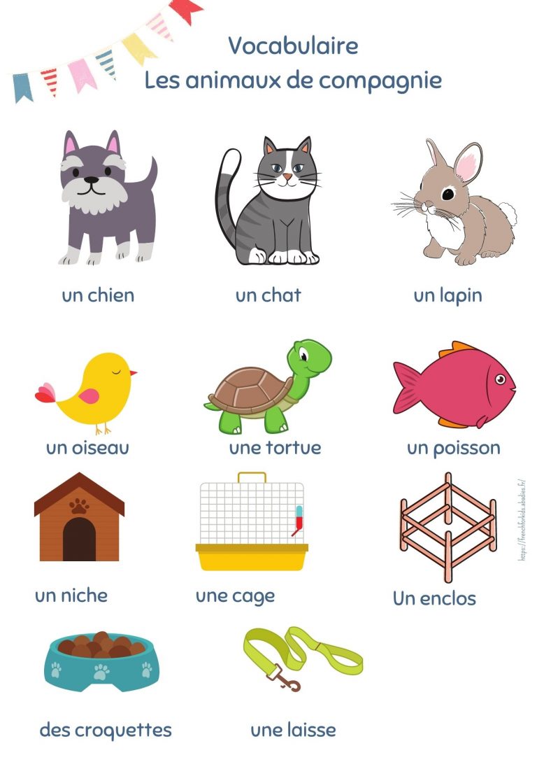 Les animaux/ animals - French for kids
