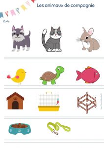 Les animaux/ animals - French for kids